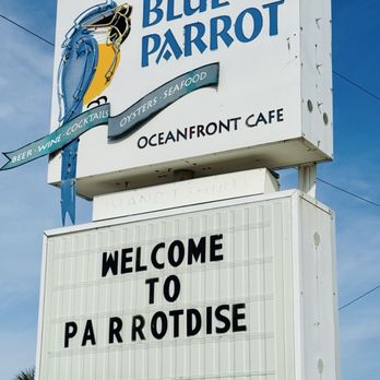 BLUE PARROT OCEAN FRONT CAFE - Updated April 2025 - 390 Photos & 585 ...
