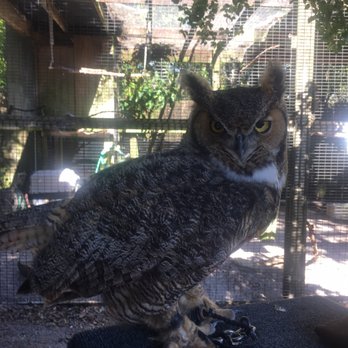 PEACE RIVER WILDLIFE CENTER - Updated December 2025 - 85 Photos & 41 ...