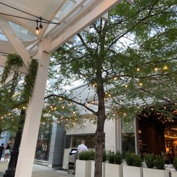 EMA - Updated August 2024 - 3260 Photos & 1729 Reviews - 74 W Illinois ...