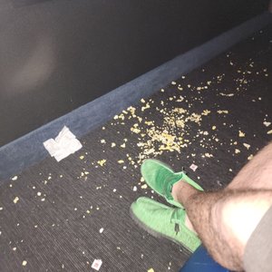 BODO CINEMA - Updated July 2025 - 14 Reviews - 760 W Broad St, Boise ...