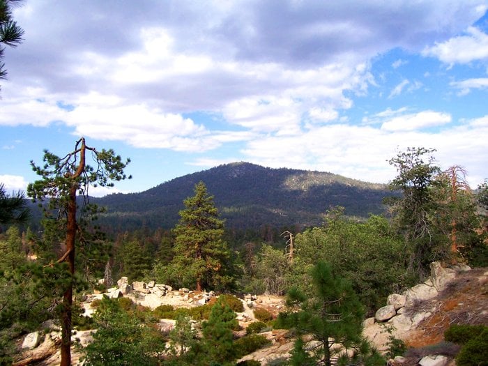 GRAY’S PEAK TRAIL - Updated June 2026 - 48 Photos & 20 Reviews - Gray's ...