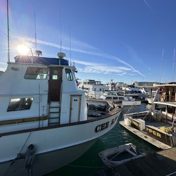 BERTH 55 FISH MARKET AND SEAFOOD DELI - 1564 Photos & 853 Reviews - 555 ...