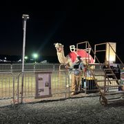 BULL RUN FESTIVAL OF LIGHTS - 337 Photos & 120 Reviews - 7700 Bull Run ...