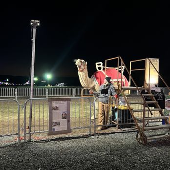 BULL RUN FESTIVAL OF LIGHTS - Updated December 2025 - 355 Photos & 135 ...