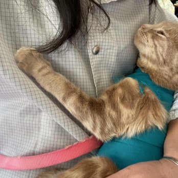 PENINSULA HUMANE SOCIETY & SPCA - Updated August 2024 - 81 Photos & 110 ...