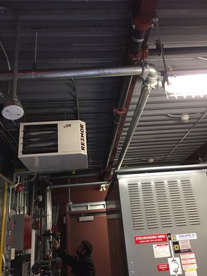 LIFELINE FIRE PROTECTION - Updated December 2025 - 50 Weybright Court ...