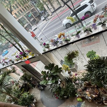 REMI43 FLOWER & COFFEE - Updated September 2025 - 427 Photos & 195 ...