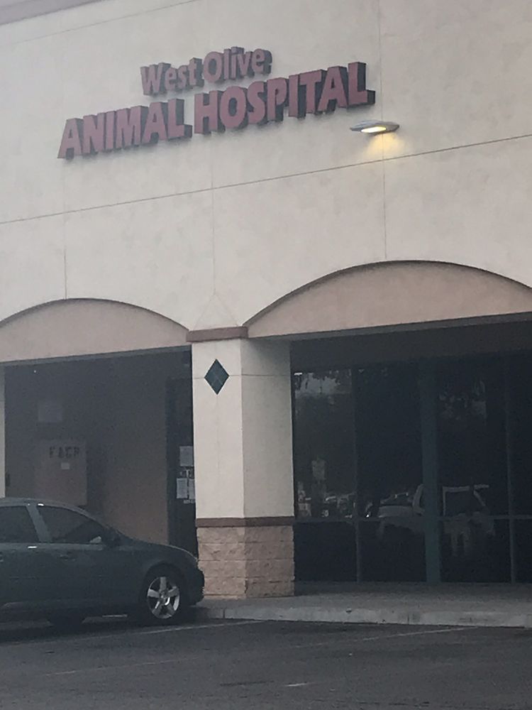 WEST OLIVE ANIMAL HOSPITAL - Updated September 2024 - 47 Reviews ...