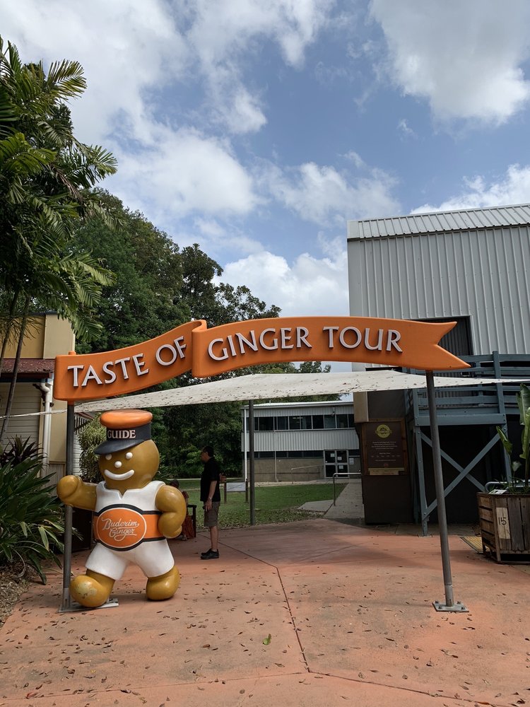 THE GINGER FACTORY - Updated August 2025 - 30 Photos - 29 Pioneer Rd ...