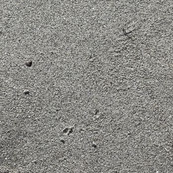 FOLLY FIELD BEACH PARK - Updated December 2025 - 97 Photos & 28 Reviews ...