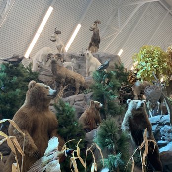 SCHEELS - Updated June 2025 - 674 Photos & 206 Reviews - 4450 ...