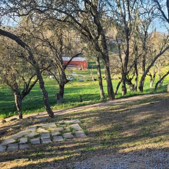 PASO ROBLES RV RANCH & CAMPGROUND - Updated May 2024 - 29 Photos & 75 ...