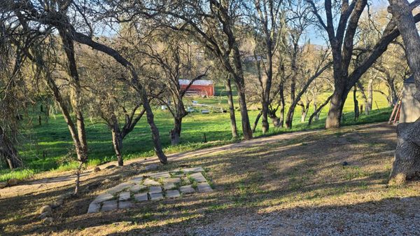 PASO ROBLES RV RANCH & CAMPGROUND - Updated June 2025 - 30 Photos & 86 ...