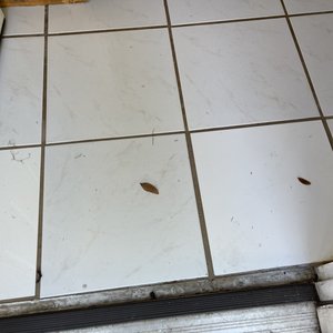 FLORIDA REALTY INVESTMENTS - Updated August 2024 - 66 Photos & 69 ...