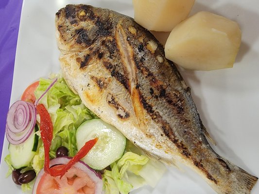 FAIALENSE SPORT CLUB - Updated December 2025 - 53 Photos & 22 Reviews ...