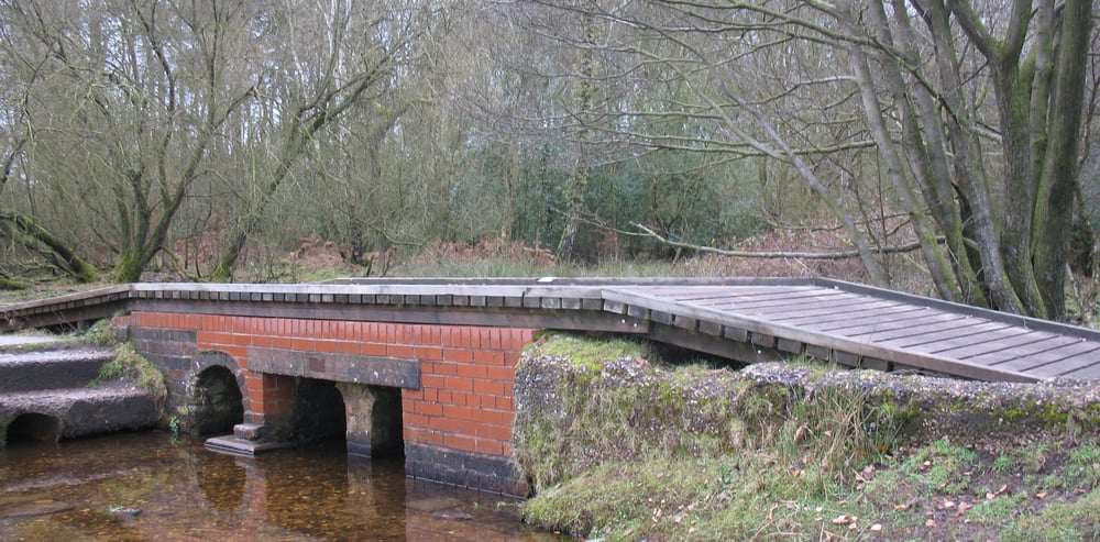 SUTTON PARK LITTLE BRACEBRIDGE POOL - 10 Photos - Sutton Park, Sutton ...