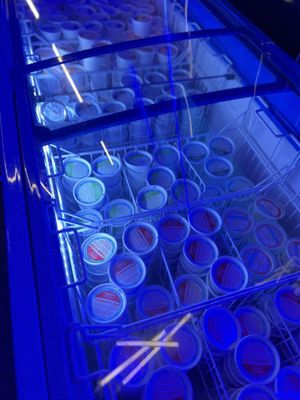 KPOT KOREAN BBQ & HOT POT - Updated July 2025 - 45 Photos & 31 Reviews ...