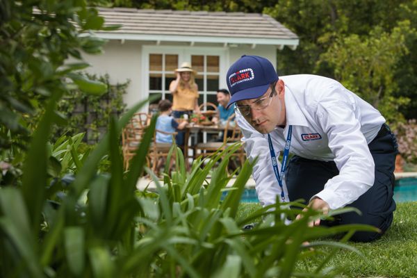 CLARK PEST CONTROL - Updated October 2025 - 50 Photos & 68 Reviews ...