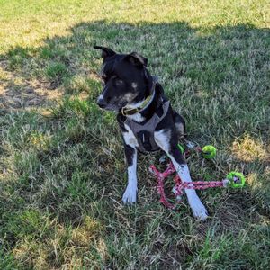 SPLASH AT LIVELY PARK - Updated July 2025 - 32 Reviews - 6100 Thurston ...