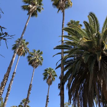 BROOKHURST COMMUNITY PARK - Updated August 2024 - 52 Photos & 31 ...