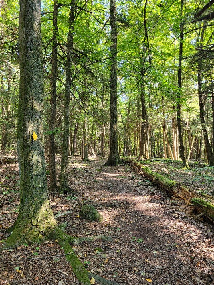 60 WESTLEDGE TRAILS - Updated April 2026 - 52 Photos - Westledge Rd ...
