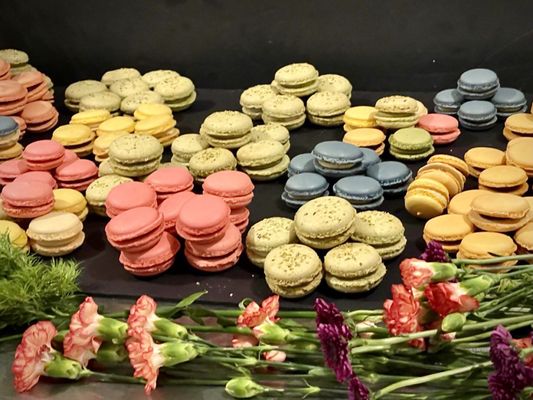 Nutty Saffron Your Luxury Confectionary Updated March 2025 41 Photos 11 Signal Hill