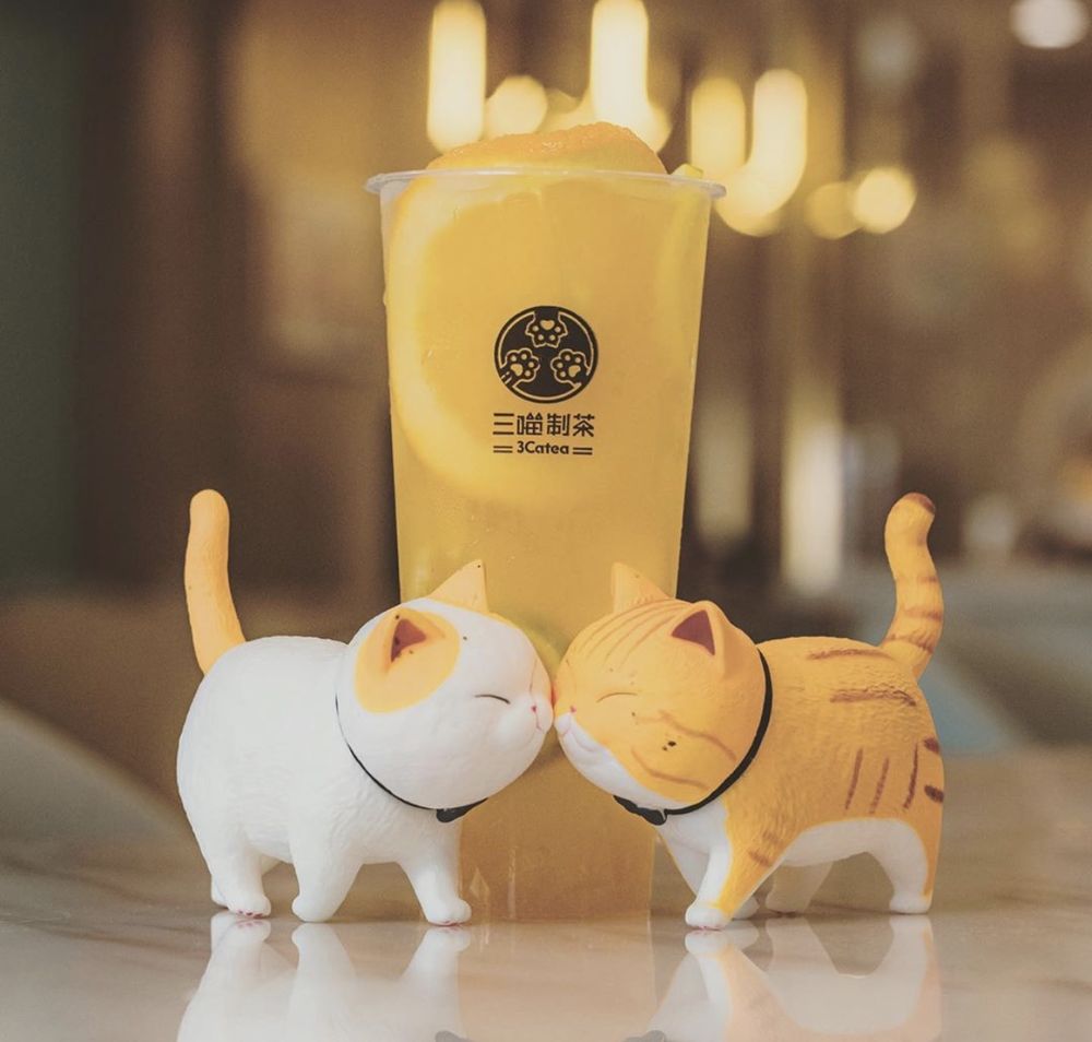 3CAT - Updated December 2025 - 1092 Photos & 490 Reviews - 18215 Gale ...