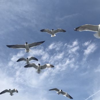 CAPTAIN WHITTAKER FAMILY FISHING - Updated January 2026 - 28 Photos ...