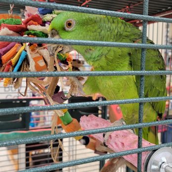 BERING’S - Updated January 2026 - 65 Photos & 70 Reviews - 6102 ...