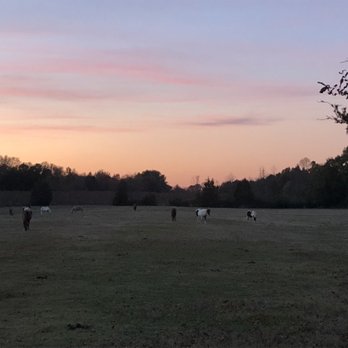 Anne Springs Close Greenway - 186 Photos & 51 Reviews - Hiking - 2573 ...