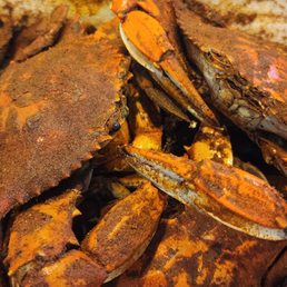 THE CRAB PLACE - Updated April 2026 - 108 Photos & 140 Reviews - 504 ...