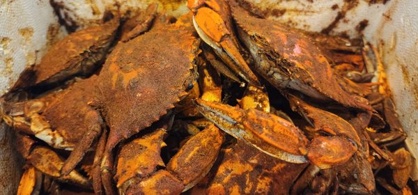 THE CRAB PLACE - Updated April 2026 - 108 Photos & 140 Reviews - 504 ...
