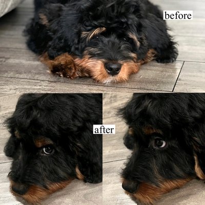 REBER RANCH - 116 Photos & 187 Reviews - 28606 132nd Ave SE, Kent ...