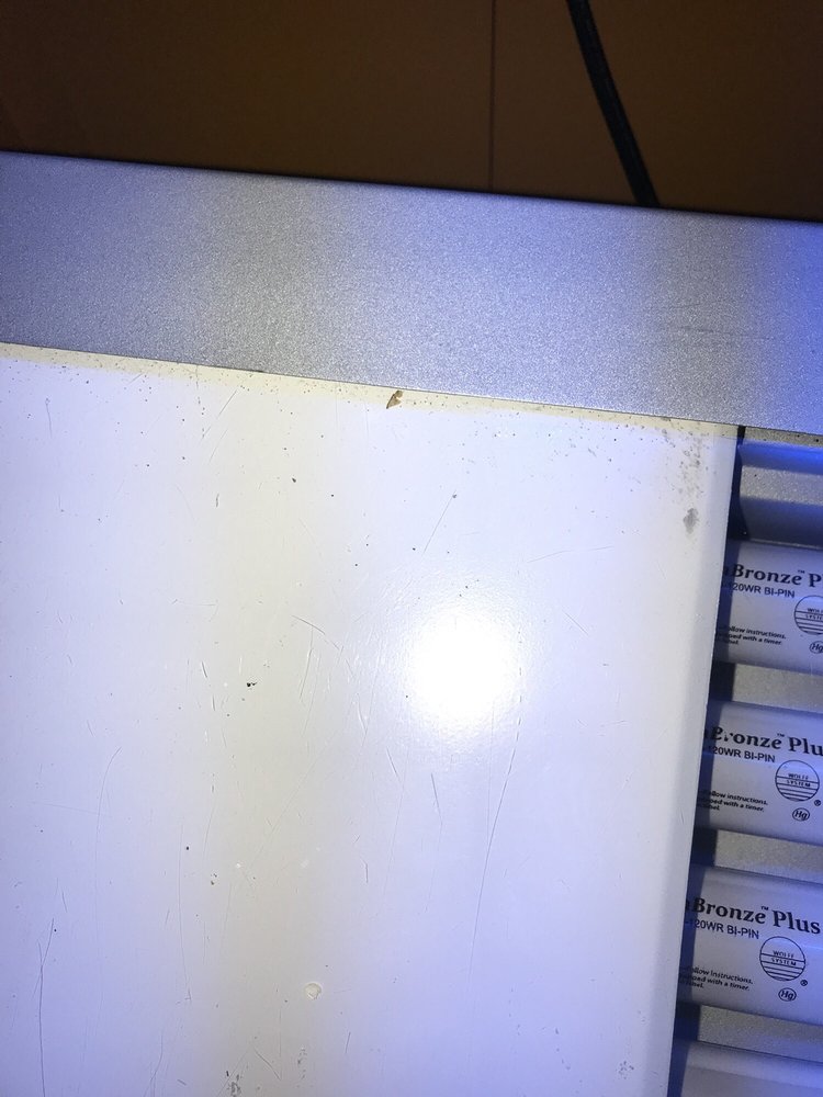 NATIVE SUN TAN - Updated October 2025 - 11 Reviews - 2429 Colony ...