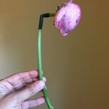 HUNTS POINT FLOWER MARKET - Updated September 2024 - 38 Photos & 28 ...