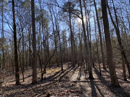 ROSE HILL PLANTATION STATE HISTORIC SITE - Updated September 2025 - 24 ...