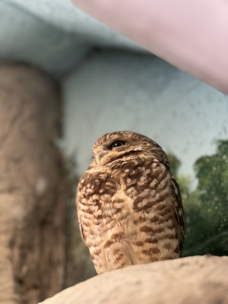 UTAH’S HOGLE ZOO - Updated November 2025 - 702 Photos & 299 Reviews ...