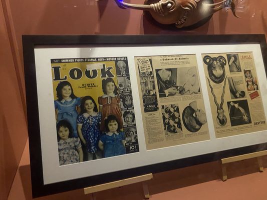 NAPA COUNTY LIBRARY - Updated March 2026 - 32 Photos & 40 Reviews - 580 ...