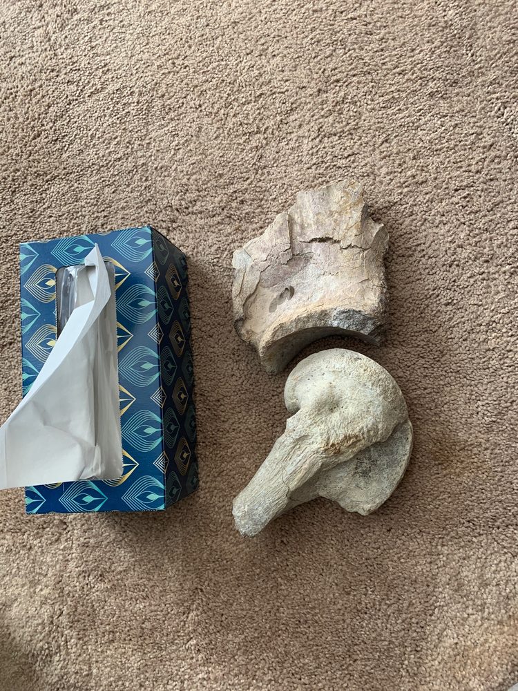 ALADDIN GENERAL STORE - Updated January 2025 - 1 Rodeo Dr, Aladdin ...