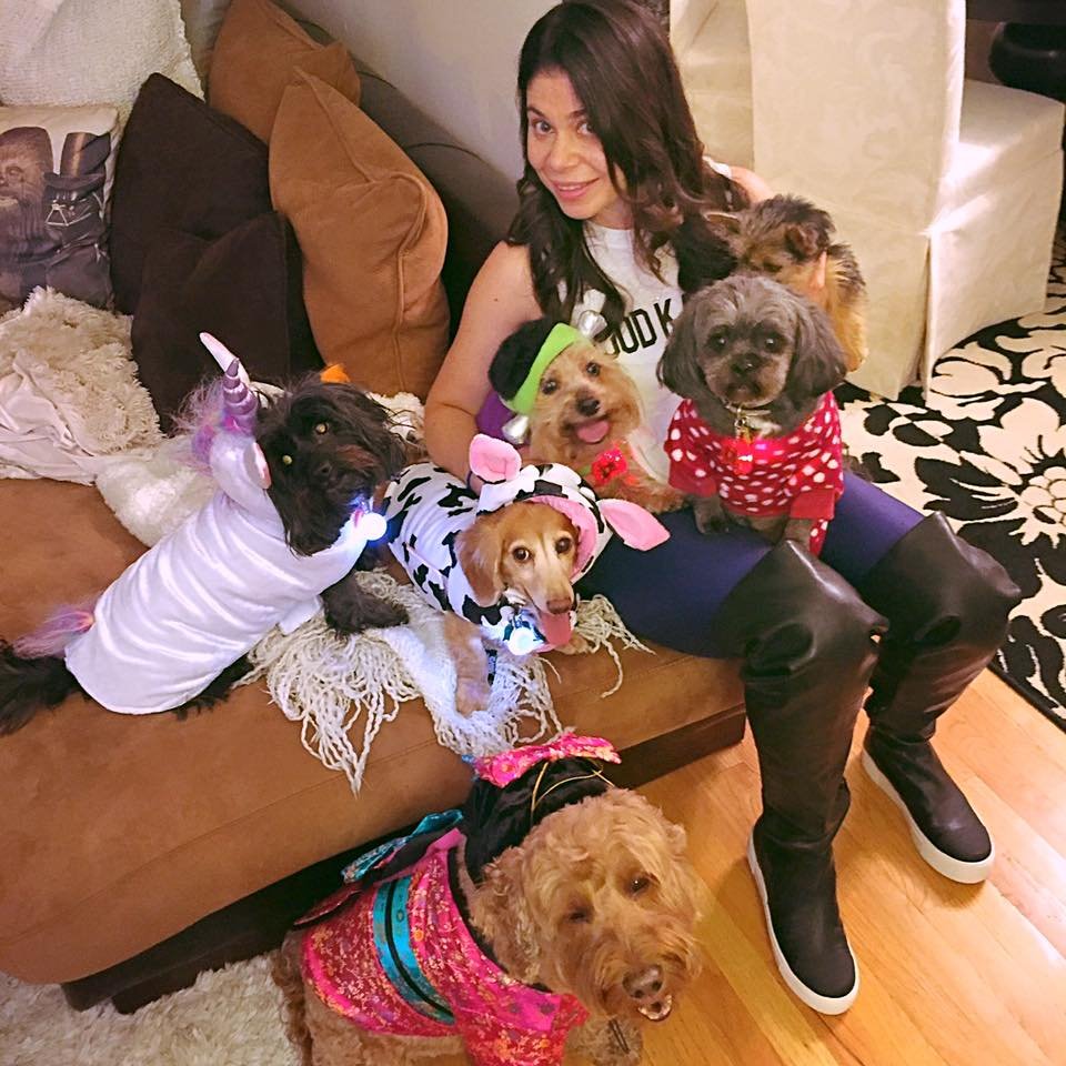 SPOILED ROTTEN PET SERVICES - Updated November 2025 - 2324 N Lincoln ...