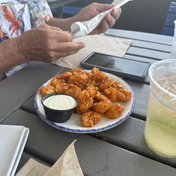 SANDBAR AMELIA ISLAND - Updated October 2025 - 519 Photos & 458 Reviews ...