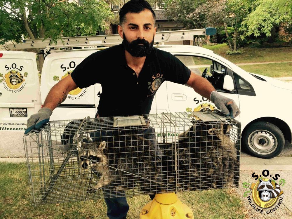 SOS PEST AND ANIMAL CONTROL - Updated October 2025 - Request a Quote ...