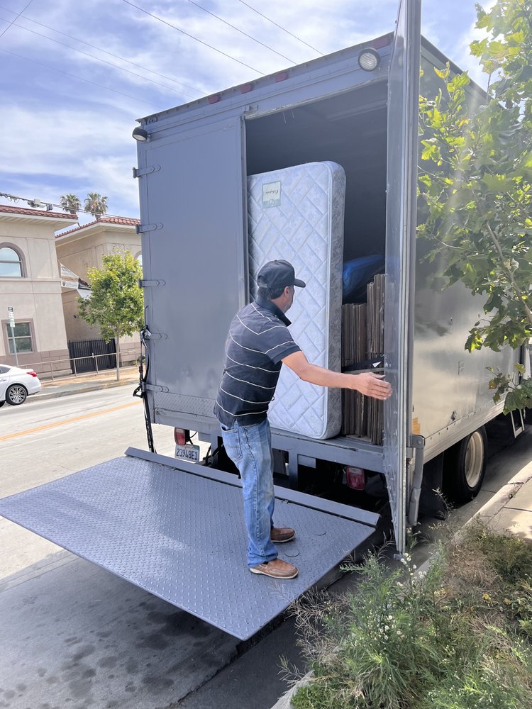 DASHING DZ - Updated August 2025 - Request a Quote - 2015 Plant Ave ...