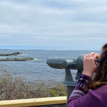 SACHUEST POINT NATIONAL WILDLIFE REFUGE - Updated December 2025 - 242 ...