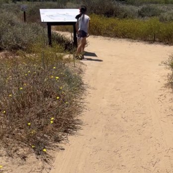 MADRONA MARSH PRESERVE AND NATURE CENTER - Updated December 2025 - 350 ...