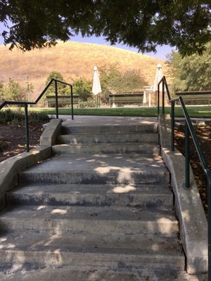 ALCOSTA SENIOR AND COMMUNITY CENTER - Updated June 2024 - 22 Photos ...