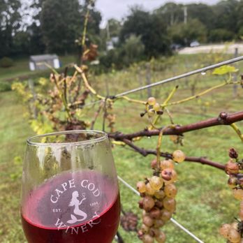 CAPE COD WINERY - Updated September 2025 - 198 Photos & 131 Reviews - 4 ...