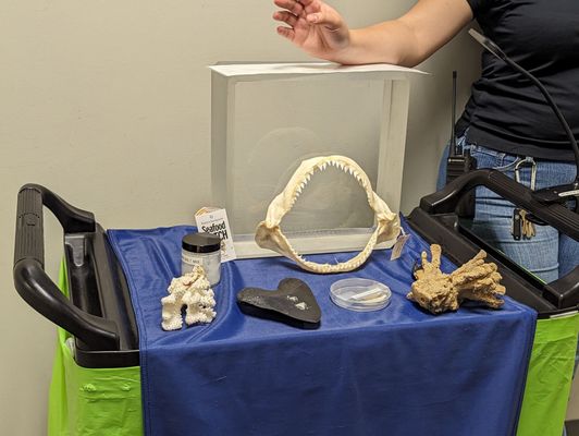 GREENSBORO SCIENCE CENTER - Updated January 2026 - 1427 Photos & 245 ...