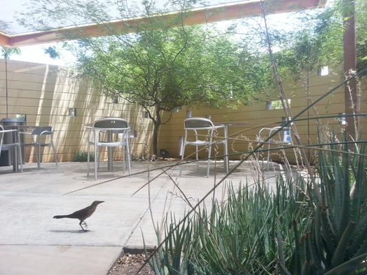 SAGUARO LIBRARY - Updated December 2025 - 19 Photos & 21 Reviews - 2808 ...