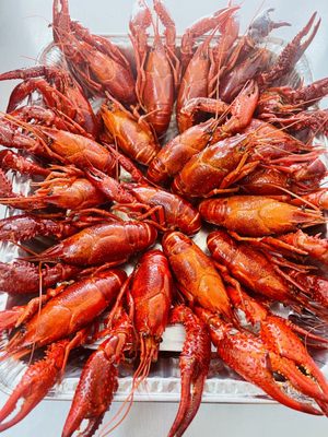 TA NEW ORLEANS SEAFOOD - Updated August 2025 - 36 Photos - 2565 Candler ...